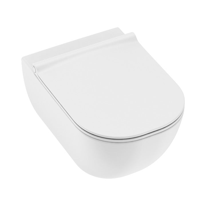 Roca Mio FRAME & RIMLESS WC PACK – Barretts of Maynooth